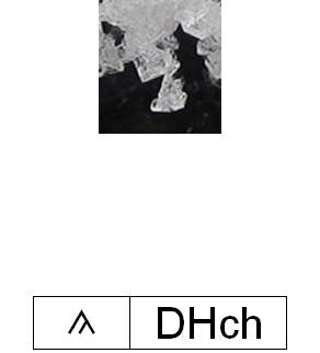 Snow Grains Photo Gallery | Chains of depth hoar: [DHch]