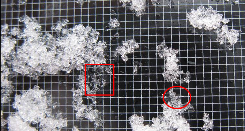Snow Grains Photo Gallery | Clustered rounded grains: [MFcl1]
