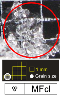 Snow Grains Photo Gallery | Clustered rounded grains: [MFcl1]