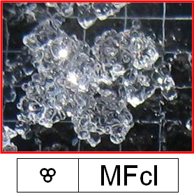 Snow Grains Photo Gallery | Clustered rounded grains: [MFcl2]