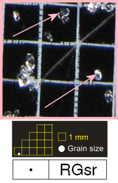 Snow Grains Photo Gallery | Piccole particelle arrotondate: [RGsr]