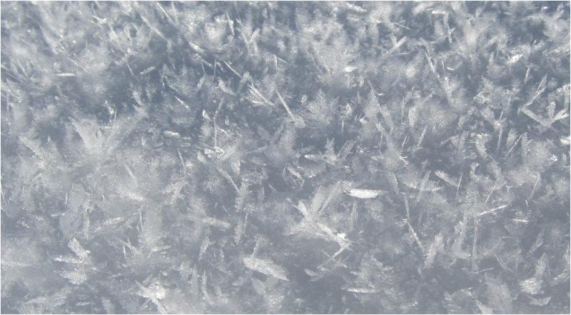 Snow Grains Photo Gallery | Surface hoar crystals: [SHsu0]
