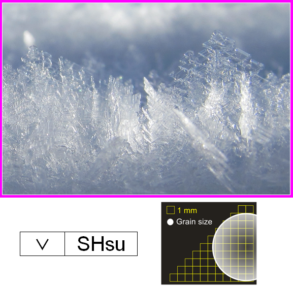 Snow Grains Photo Gallery | Surface hoar crystals: [SHsu2]
