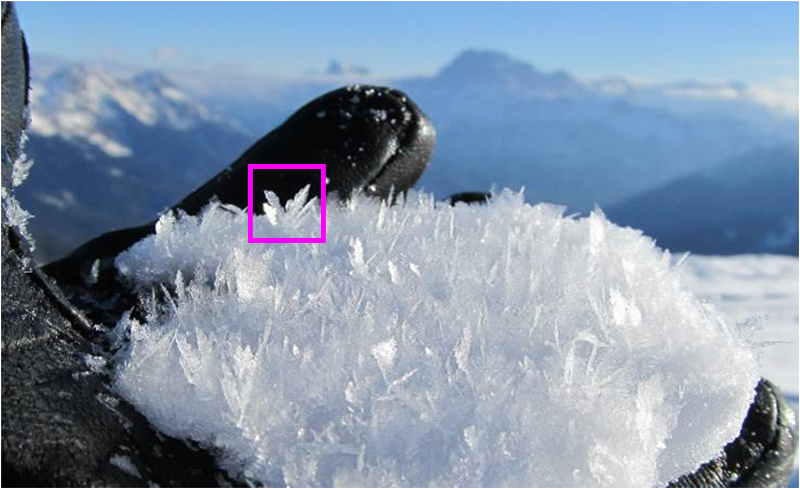 Snow Grains Photo Gallery | Surface hoar crystals: [SHsu3]